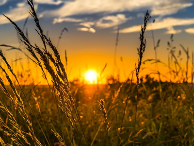 JRMC-hospice-comfort - Jamestown Regional Medical Center