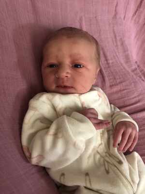 Hattie Rose - Jamestown Regional Medical Center